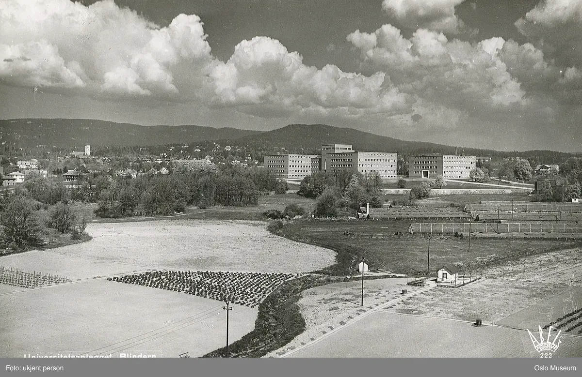 Universitetsanlegget, Blindern. - Oslo Museum / DigitaltMuseum