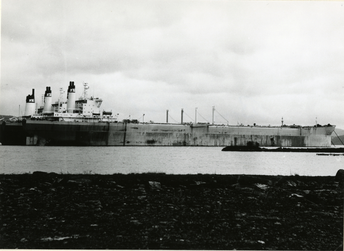 T/T 'Berge Chief' (Ex. Berge Beaumont, Beaumont)(b.1976, A/S Stord ...