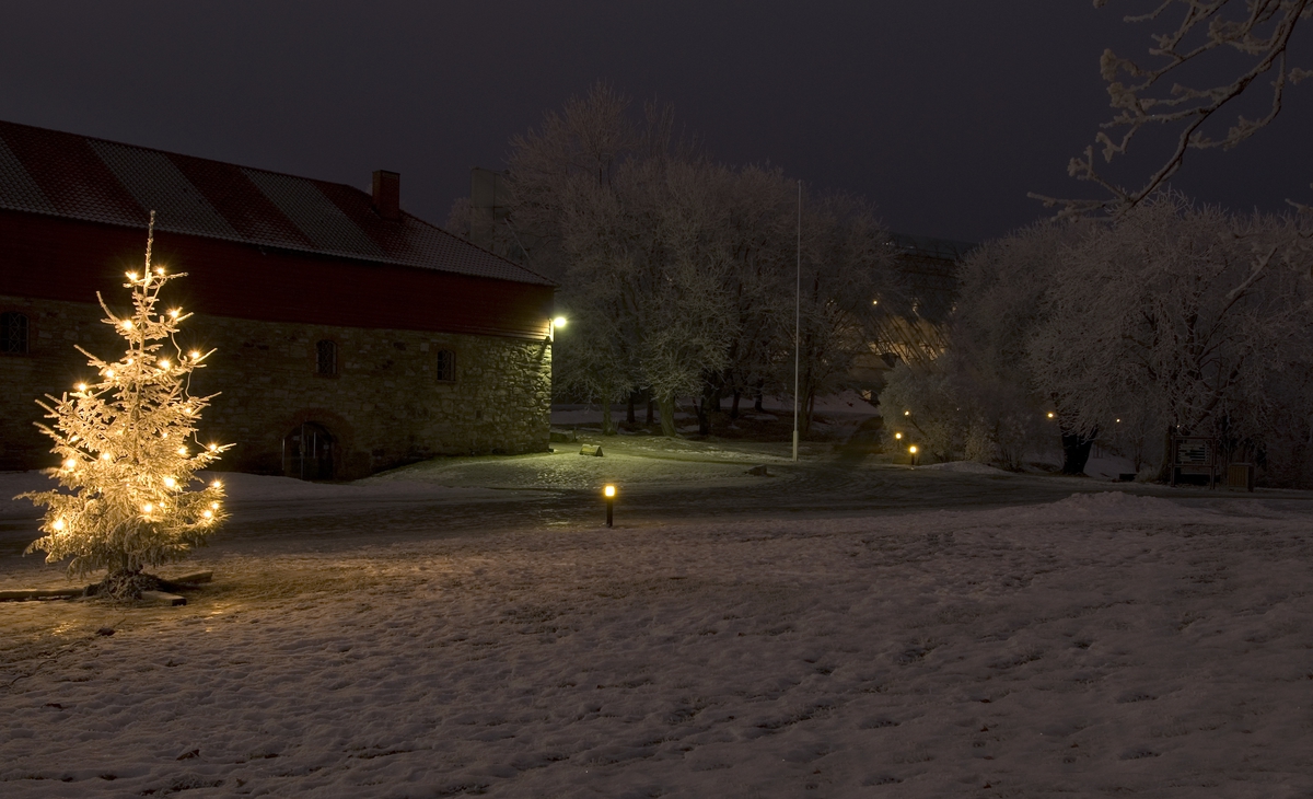 Julestemning ute på Domkirkeodden. Vinter, Juletre, Juletre med lys ...