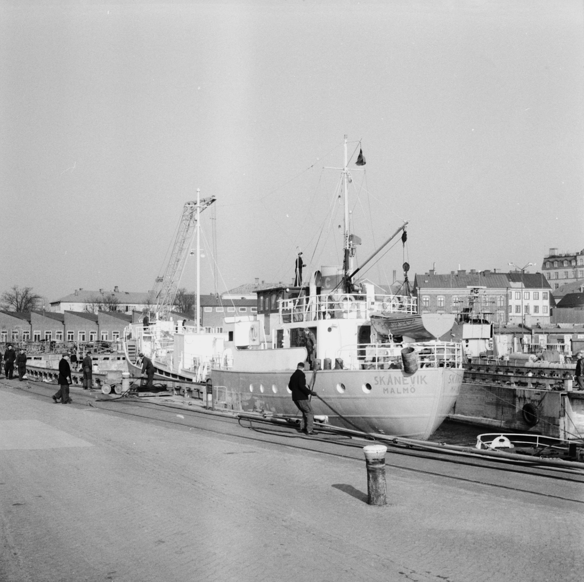 M/S Skånevik i docka 1 - Marinmuseum / DigitaltMuseum