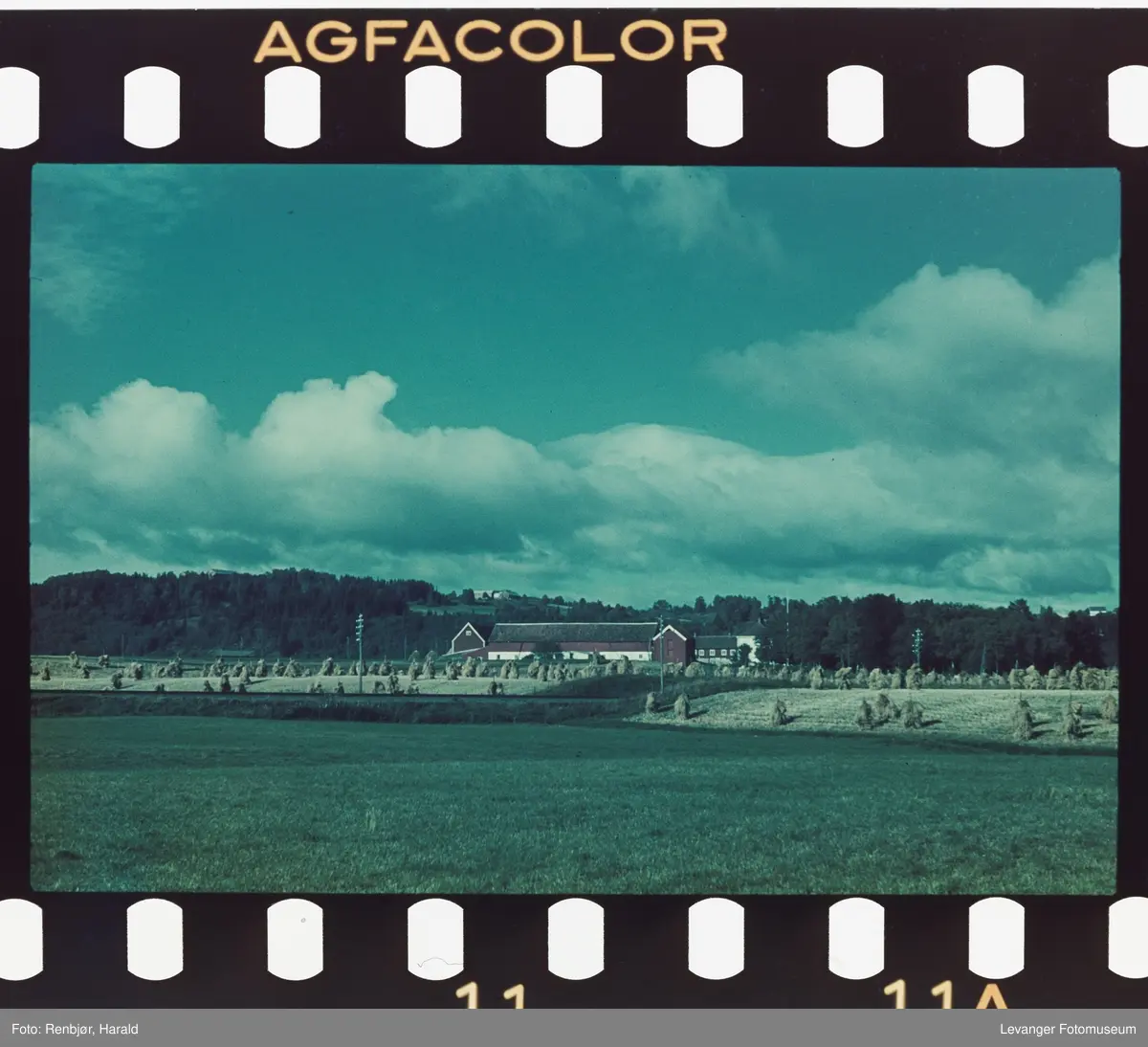 Kulturlandskap med kornnek i Levanger. - Levanger Fotomuseum ...