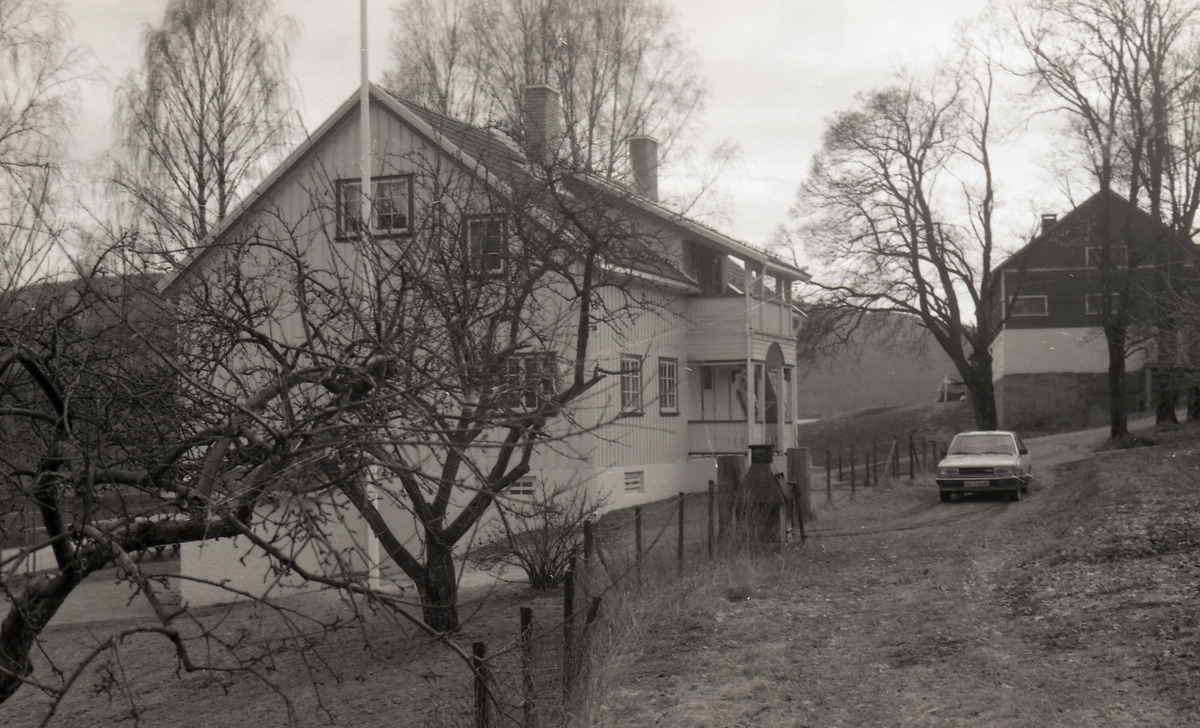 Tre bilde av Valen skule - Bø Museum / DigitaltMuseum