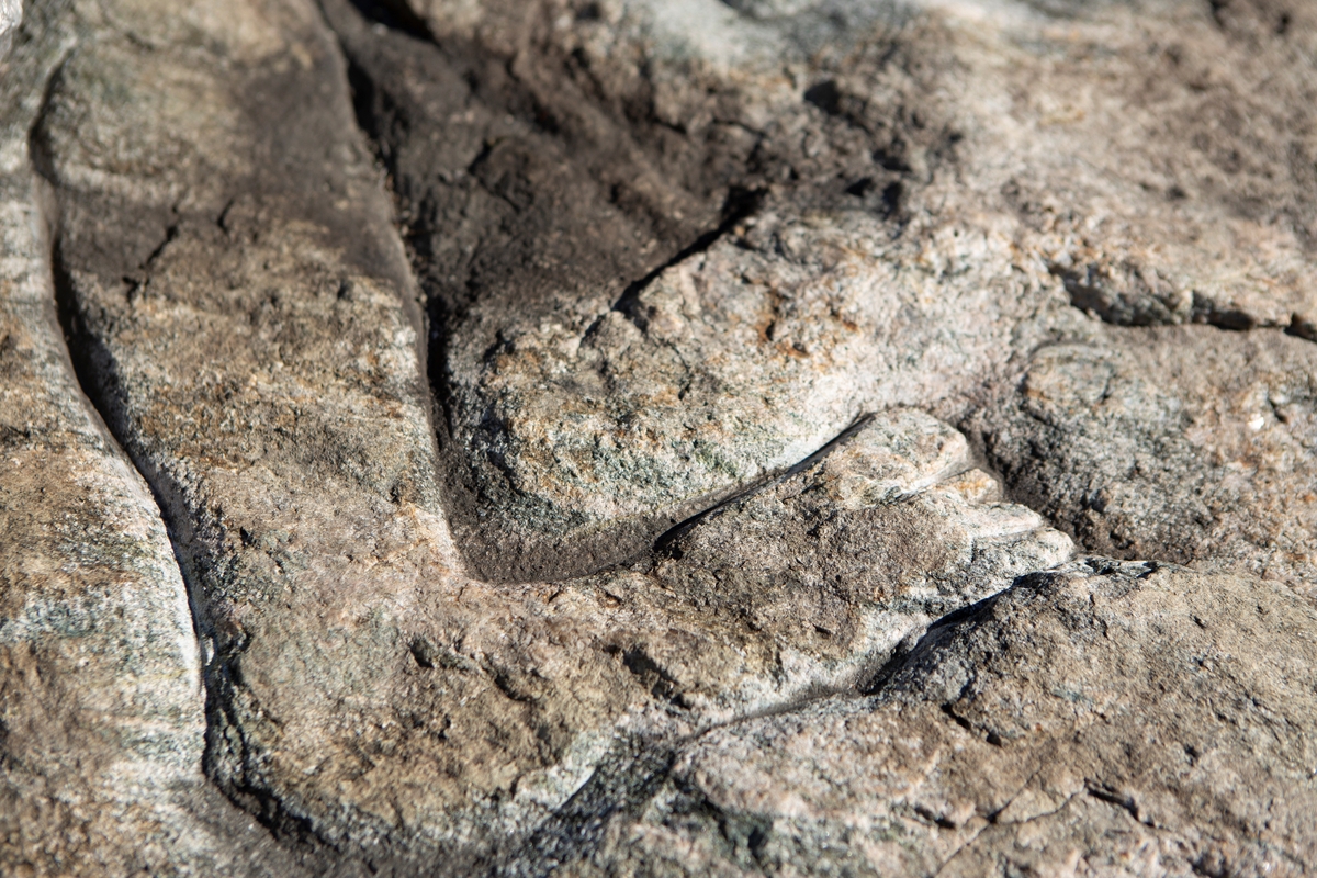 Varde [Stein] - KORO / DigitaltMuseum