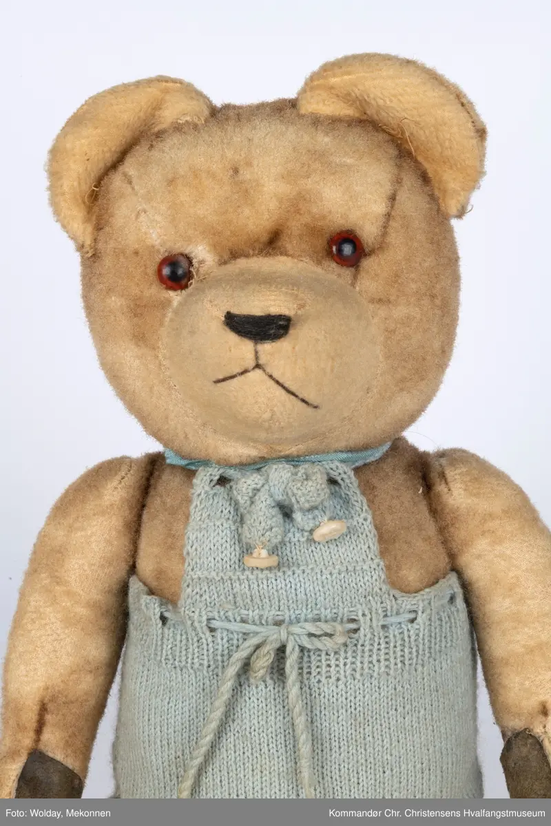 Bamse - Kommandør Chr. Christensens Hvalfangstmuseum / DigitaltMuseum