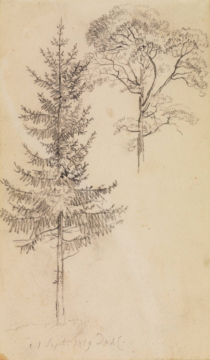 Gran og furu [Tegning] - Nasjonalmuseet, billedkunstsamlingene ...