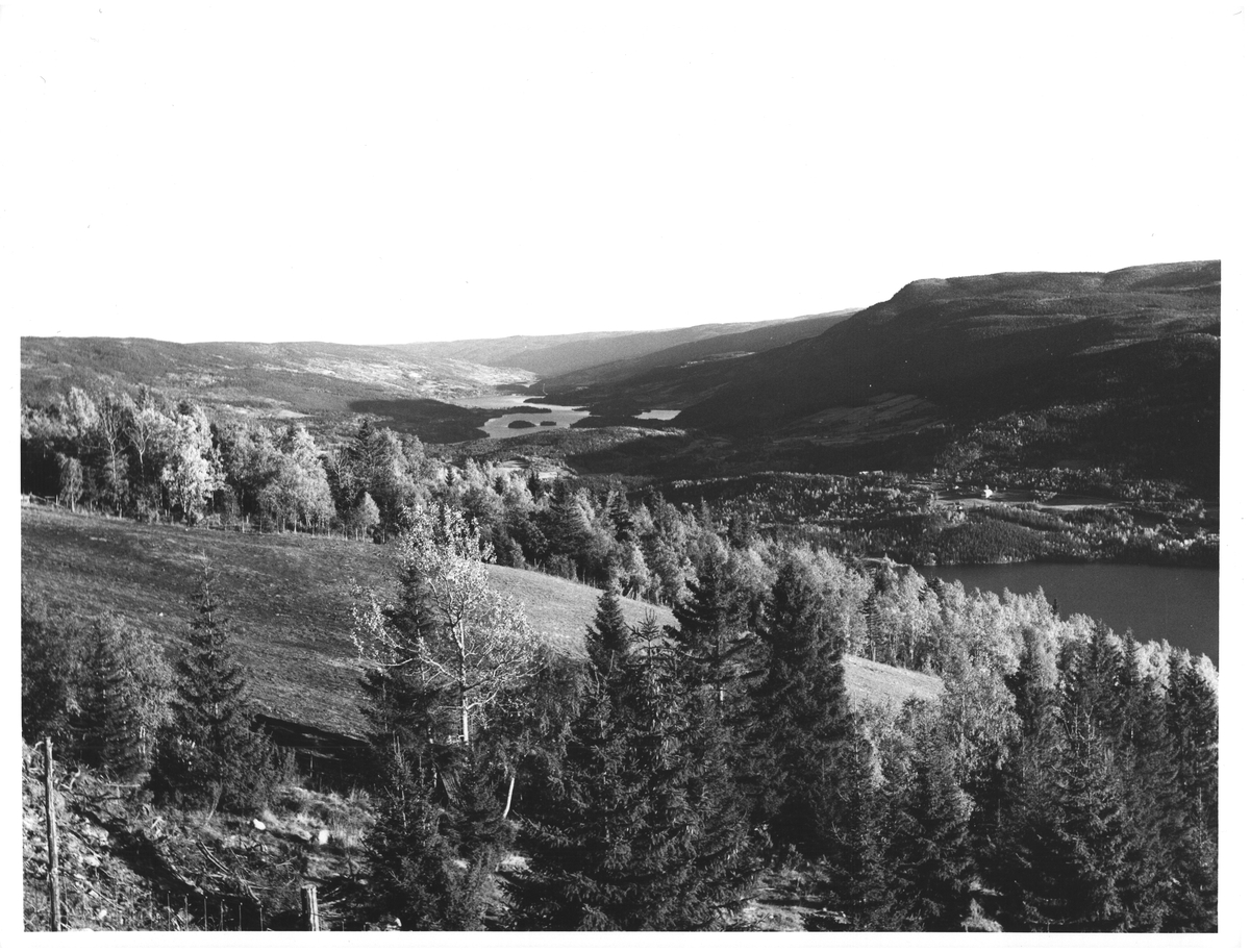 Øverst i Ellestad i Lomen, bygda. Utsyn mot (Vestre) Slidrefjorden ...