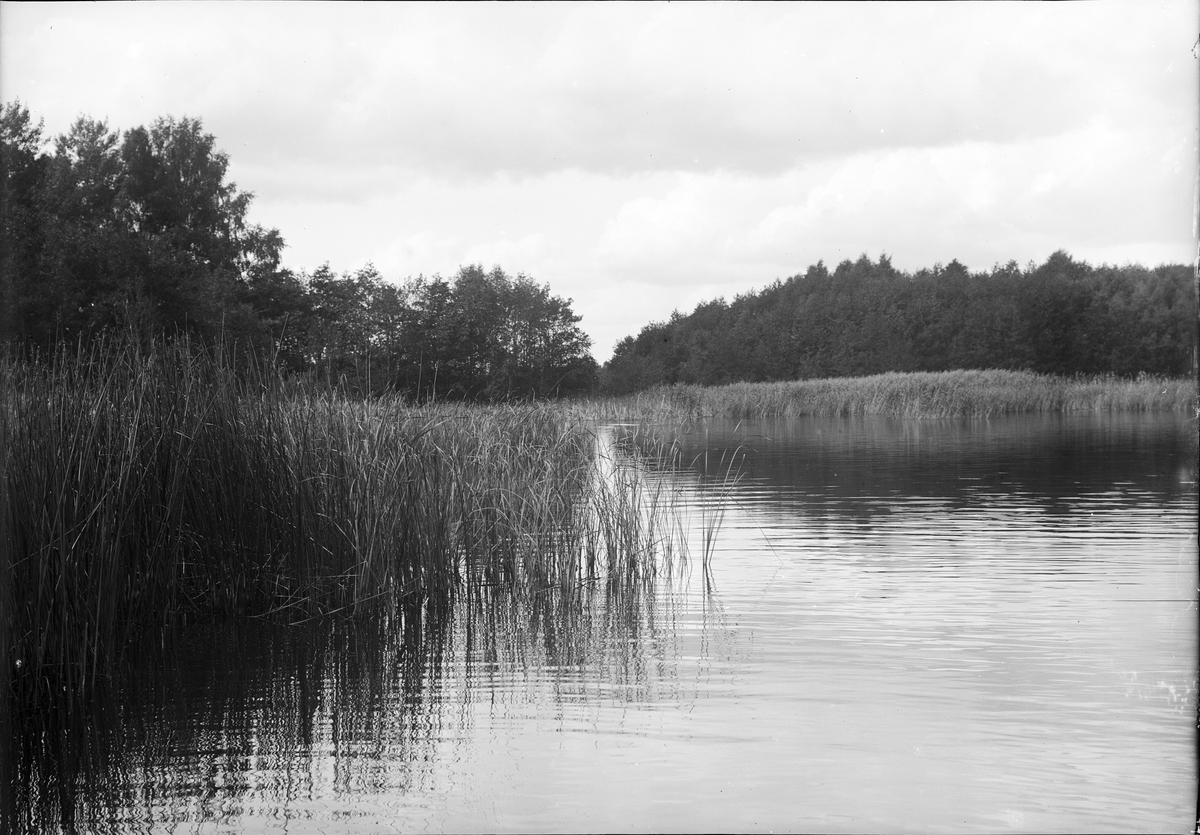 Vattendrag, Uppland - Upplandsmuseet / DigitaltMuseum
