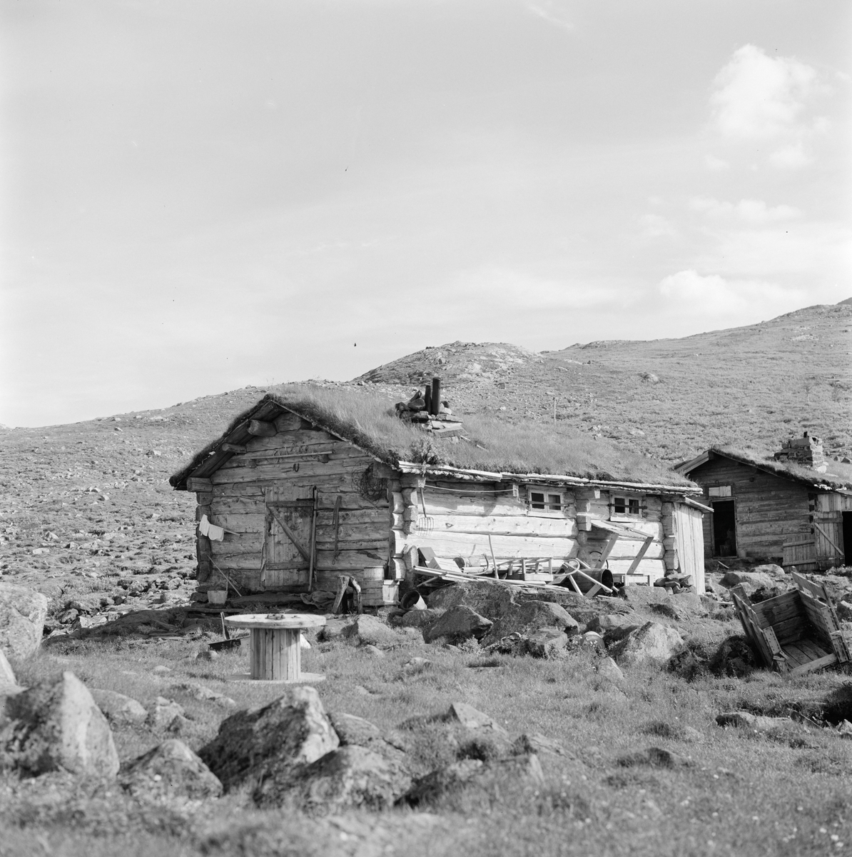 Gaustatoppen (kuer - DEXTRA Photo / DigitaltMuseum