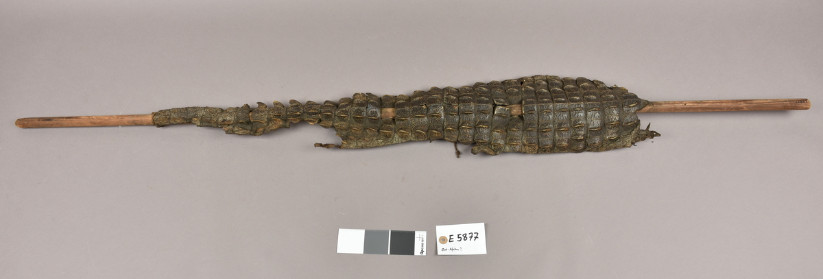 Etnografisk samling gjenstandsfoto - Universitetsmuseet i Bergen ...