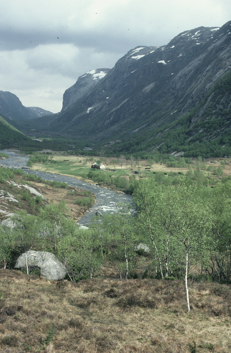 Bilder fra Gjesdal - Arkeologisk museum, Universitetet i Stavanger ...