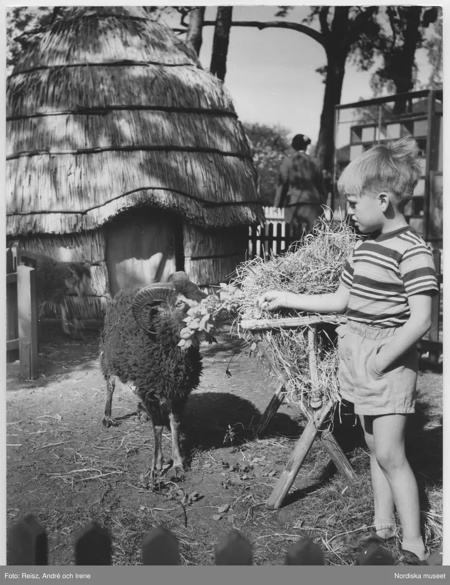 Stockholm. Barn på Lill-Skansen. - Nordiska museet / DigitaltMuseum