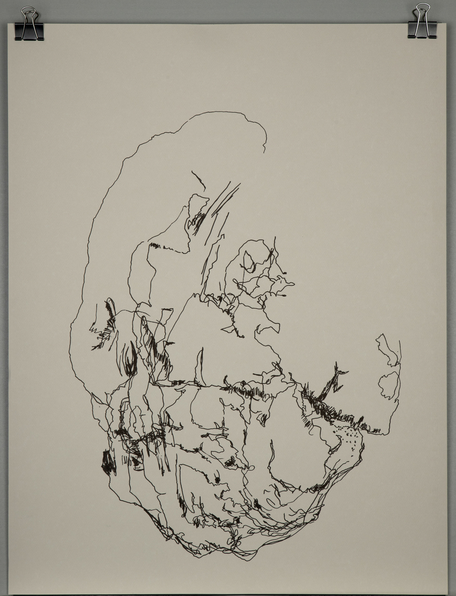 Fantomsamtaler med Steinaldermannen av Lars Tiller [Rominstallasjon ...