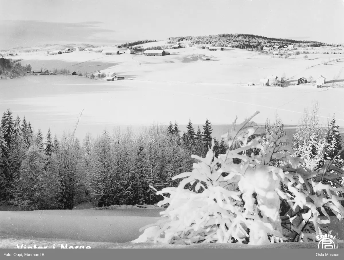 Vinter i Norge. - Oslo Museum / DigitaltMuseum
