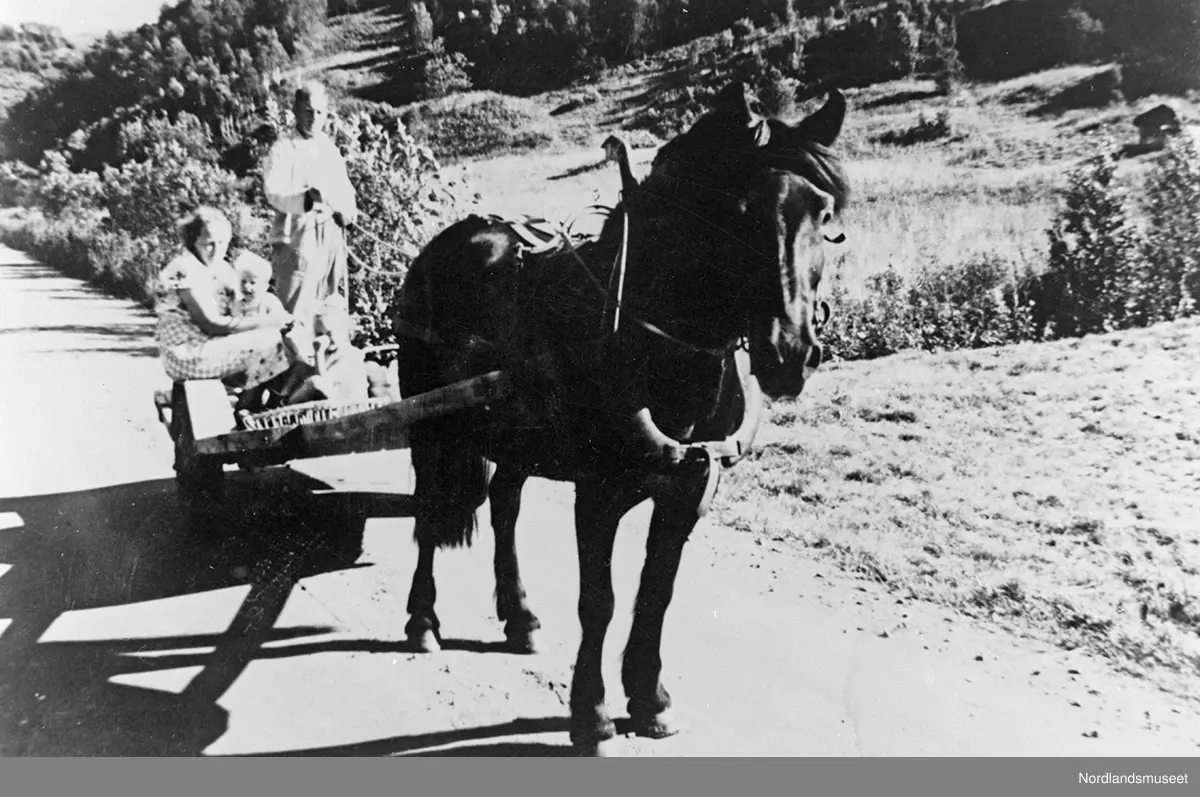 Hest og vogn med kvinne og to barn i vogna. En mann går ved siden av. Familien Bernhard Hansen ...