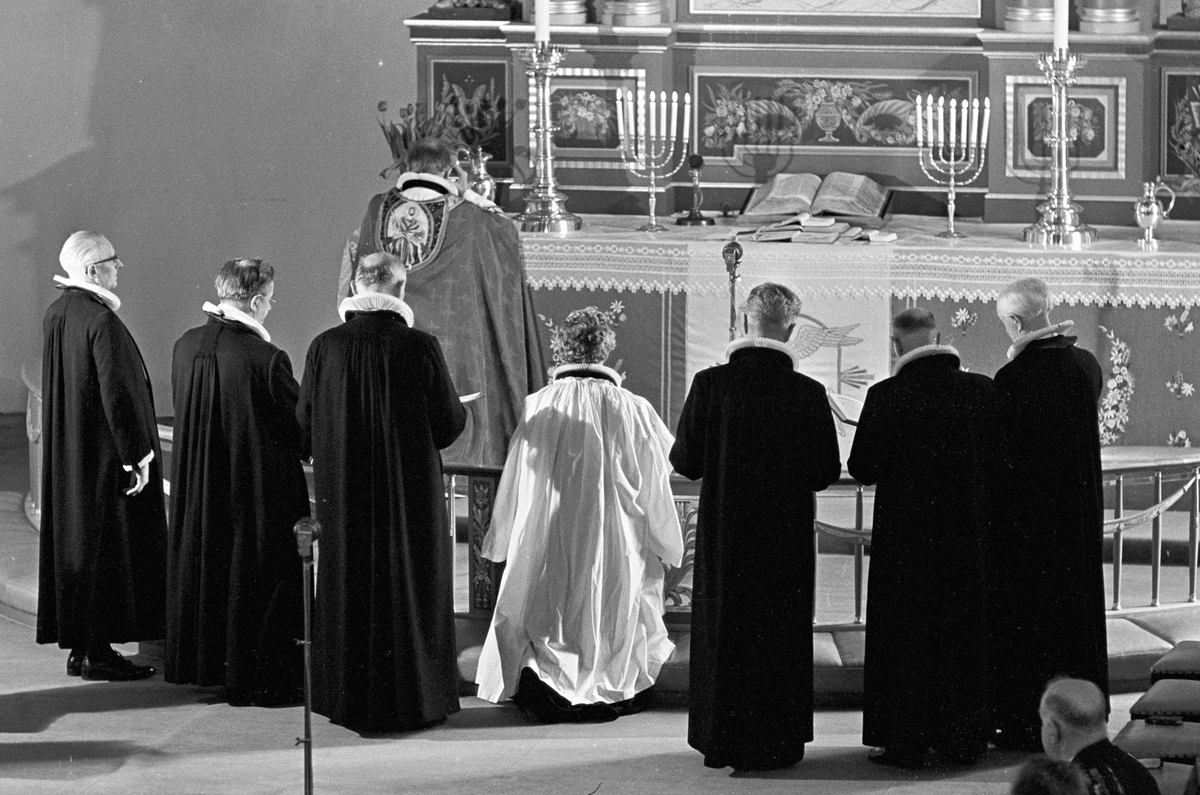 Serie bilder fra ordinering av Ingrid Bjerkås som første kvinnelige ...