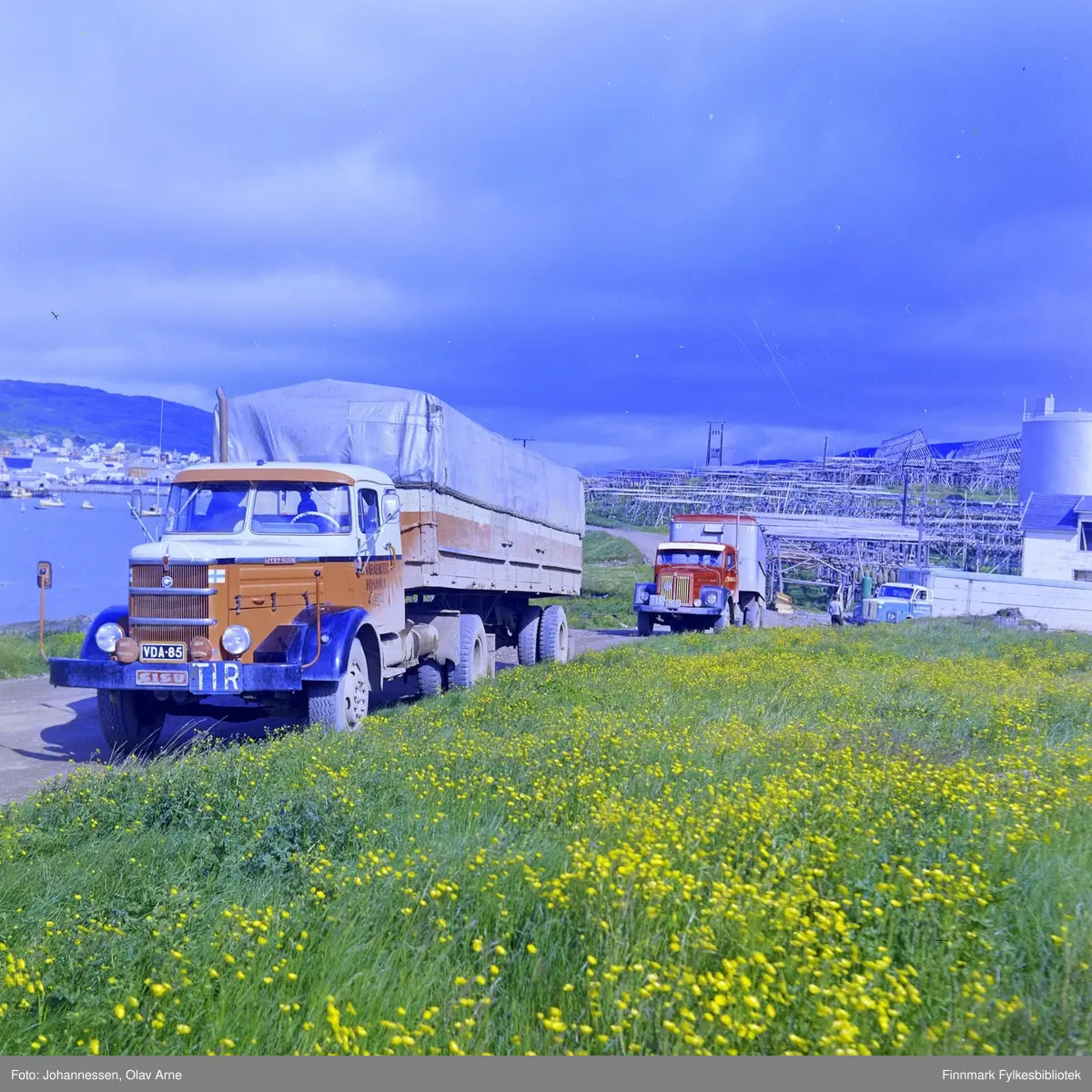 Finske trailere som henter dyrefor til minkfarmene i Finland. De kommer ...