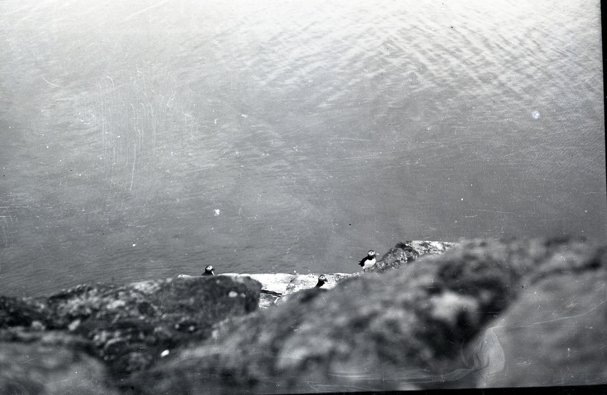 Bilde etter Abram I Gilbo, som var i Pyramiden i 1946-1948(oppbygging ...