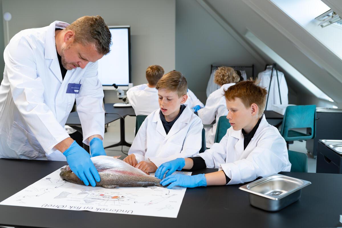 Our school programs - Storeblå