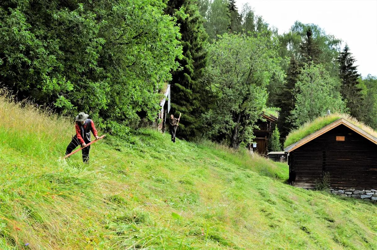Slåttedag - Hallingdal Museum