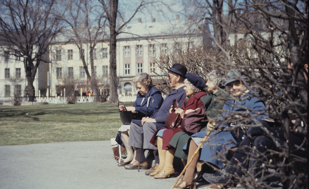 Eldre mennesker på en benk i park på Olaf Ryes plass i Oslo. Bildet er ...
