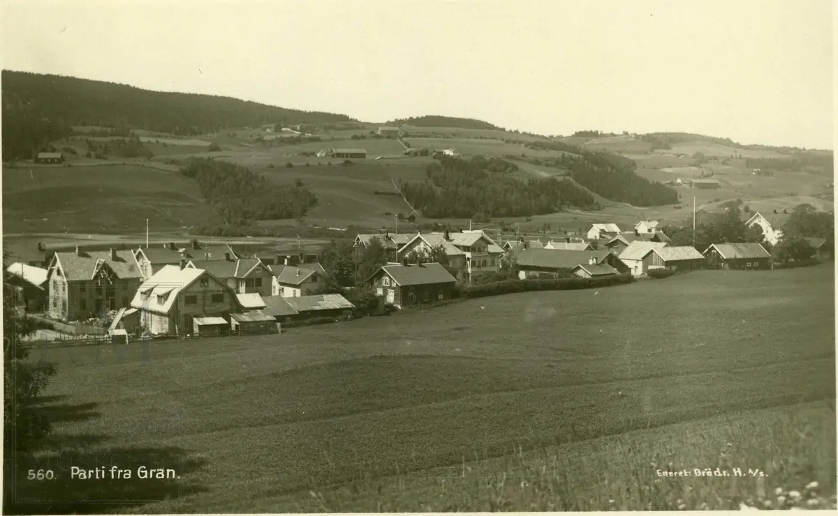 560. Parti fra Gran - Hadeland Folkemuseum / DigitaltMuseum