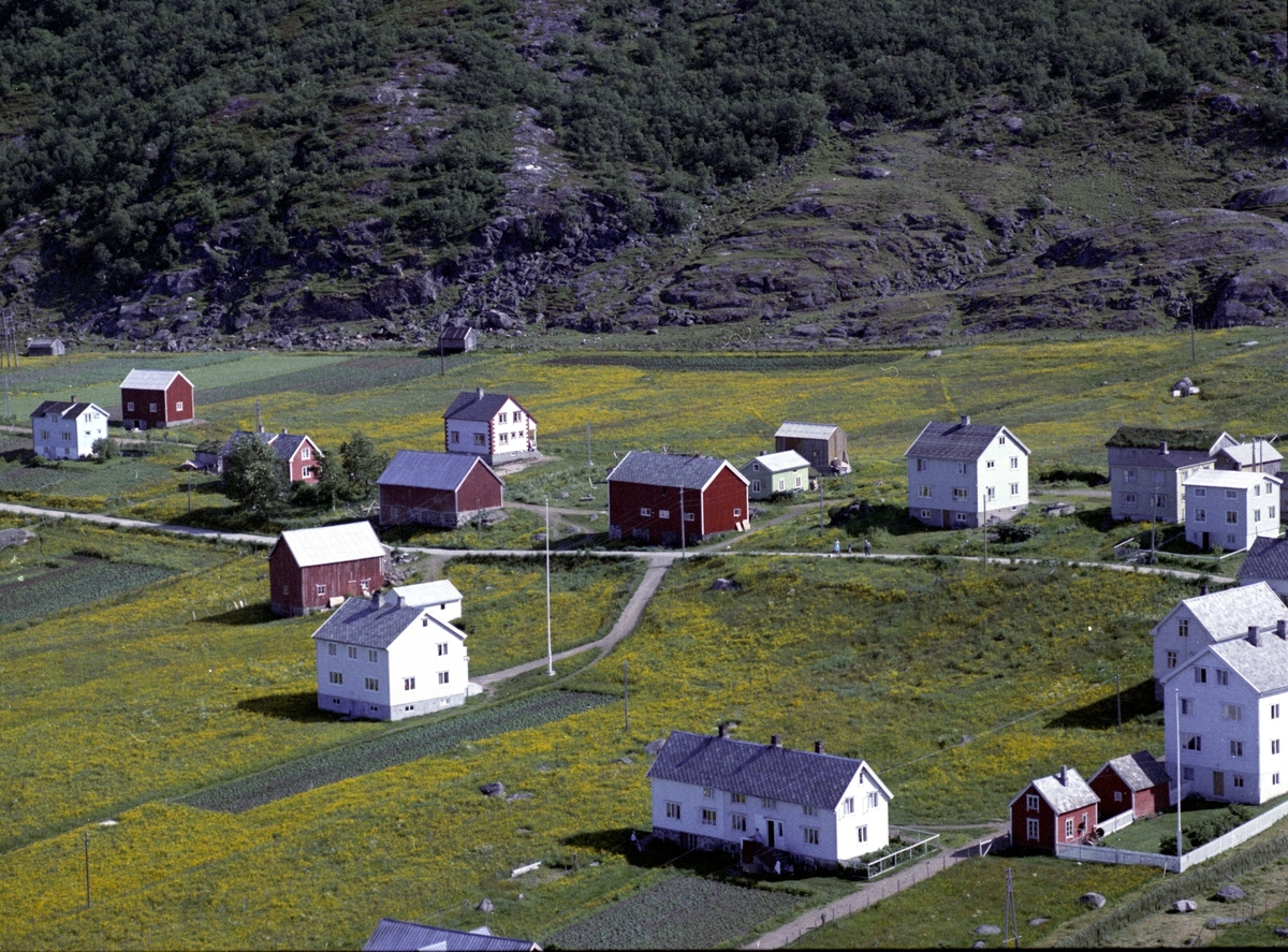 Flyfoto fra Grøtavær. - Sør-Troms Museum / DigitaltMuseum