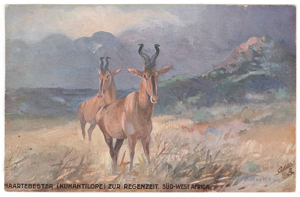 VYKORT - Vänersborgs museum / DigitaltMuseum