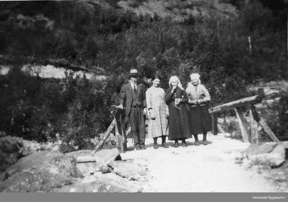 Ved den gamle brua nedanfor Skøyten og over til Venåsstølane i Hemsedal ...