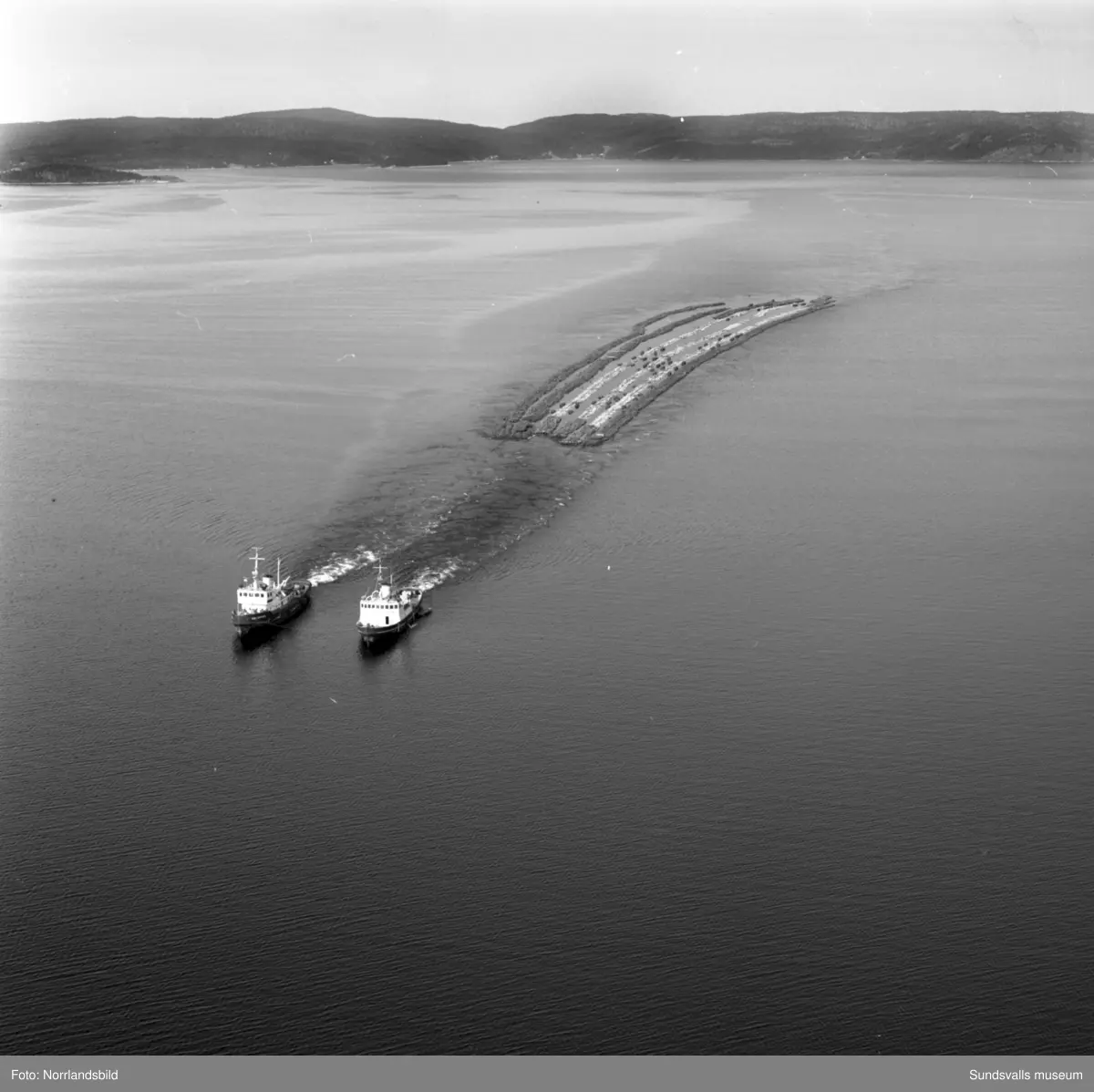 Bogsering av timmer vid Alnöbron. - Sundsvalls museum / DigitaltMuseum