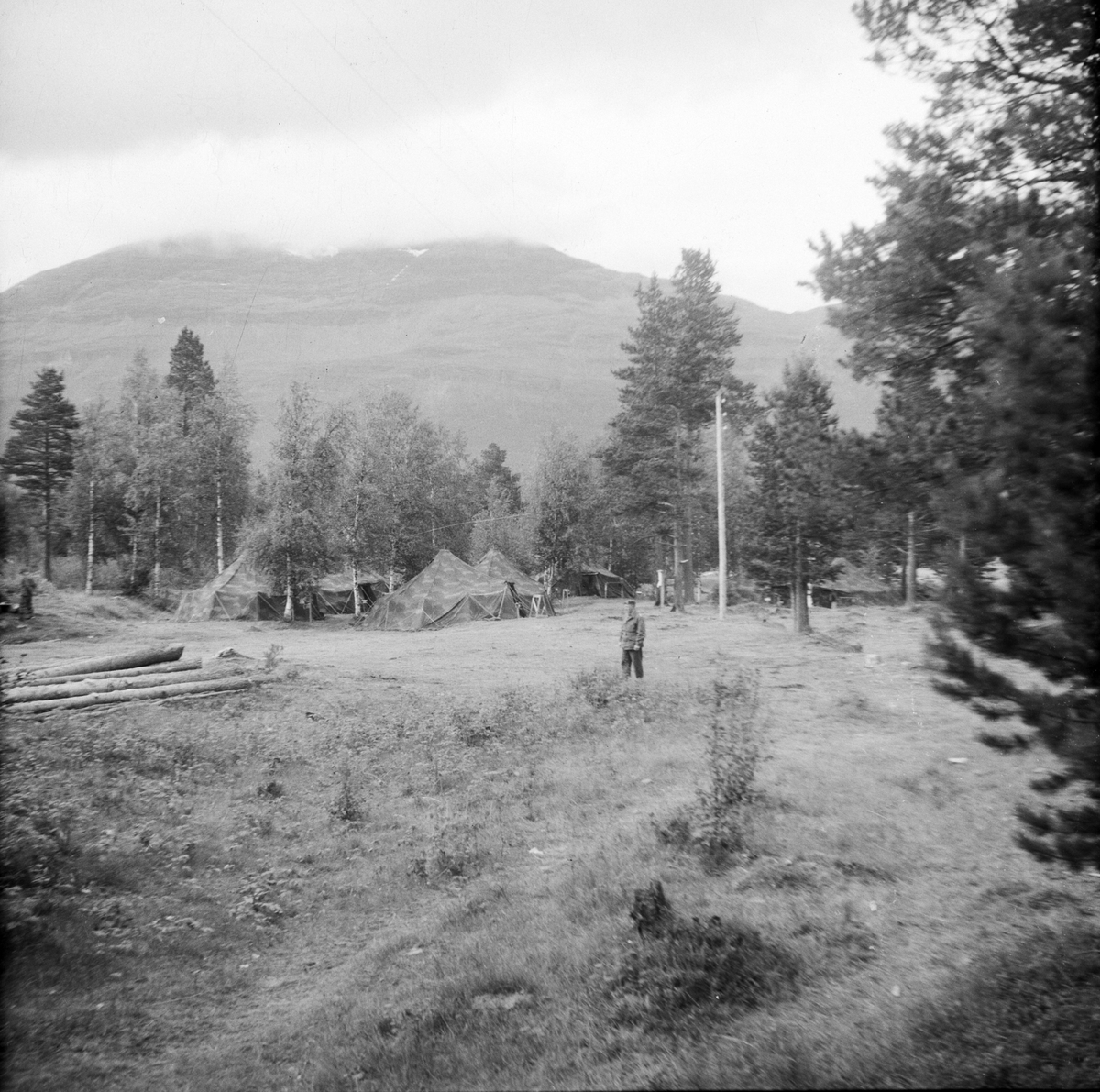 Militærøvelse. Lagstelt er slått opp i en skog på Setermoen. - Sør ...