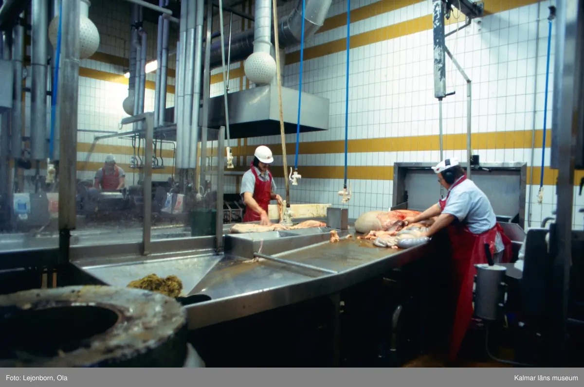 Slakt på SCAN KLS - Kalmar läns museum / DigitaltMuseum