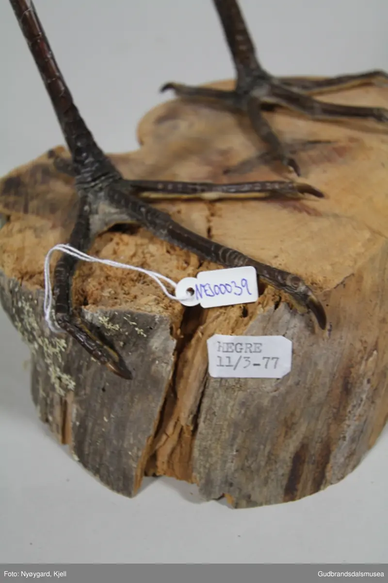 Hegrer - Gudbrandsdalsmusea / DigitaltMuseum