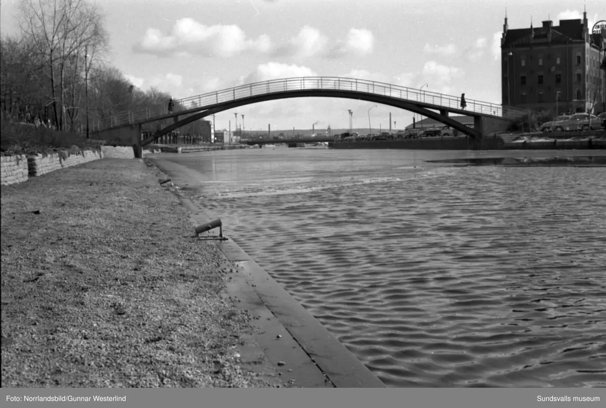 Vårflod med högt vattenstånd i Selångersån. Bilder från områdena på ...