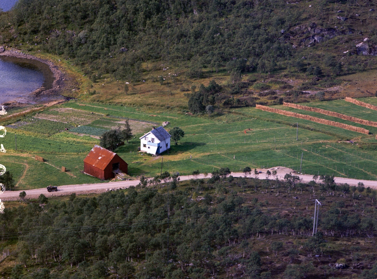 Flyfoto fra Holten i Gullesfjord. - Sør-Troms Museum / DigitaltMuseum