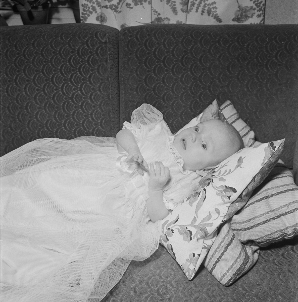 Familjen Sabelström, barndop, Uppsala - Upplandsmuseet / DigitaltMuseum