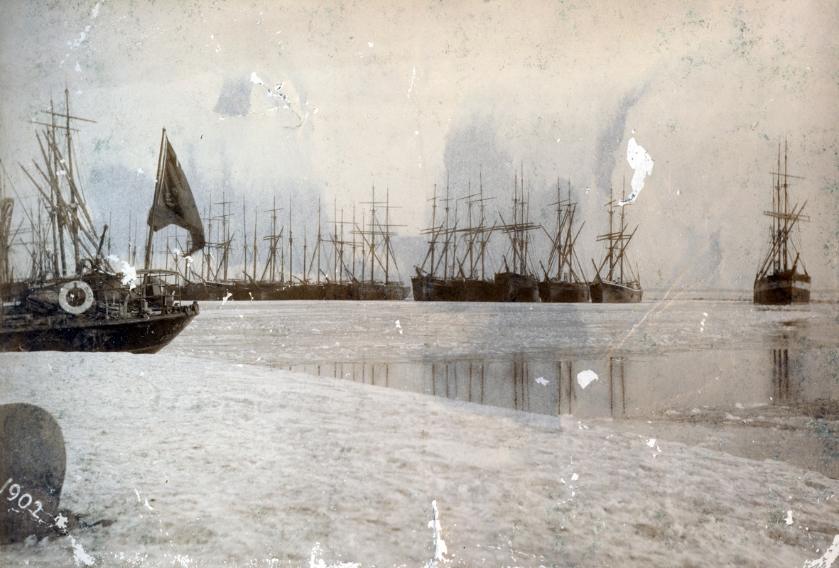 Segelfartyg i Kalmar hamn 1902. - Kalmar läns museum / DigitaltMuseum