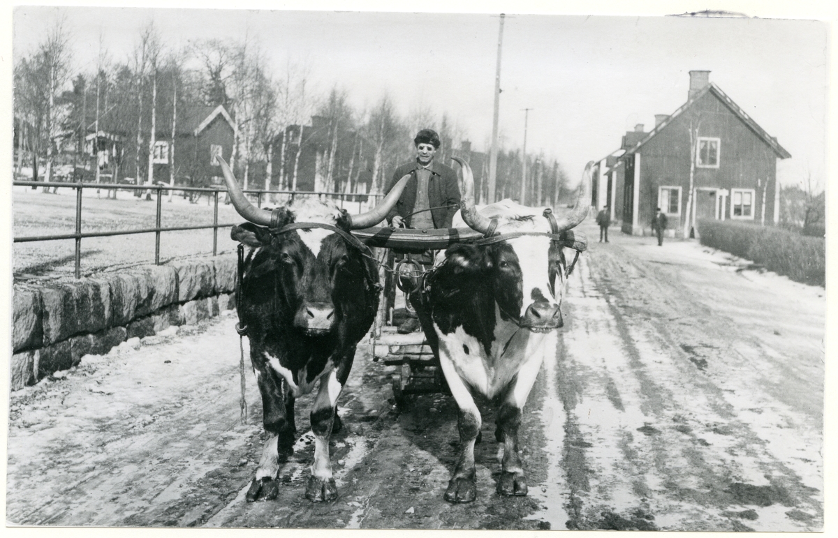 Sura sn, Surahammar kn, Surahammar. Oxekipage på Bruksgatan omkring ...
