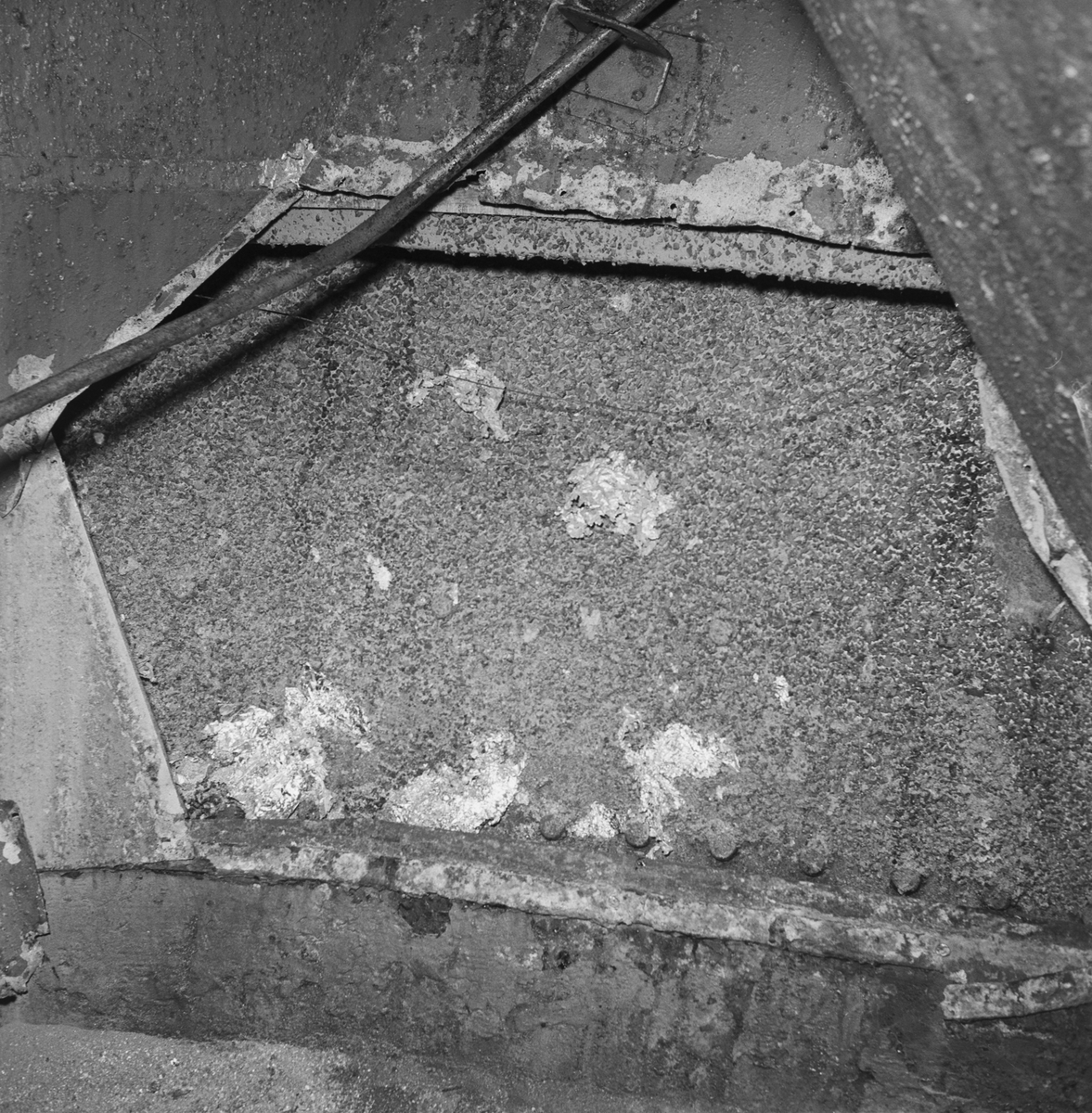 "Tre Kronar" frätskador å skott skarvsekt. - Marinmuseum / DigitaltMuseum