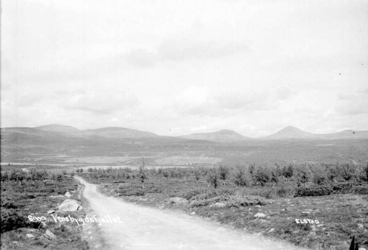 Ringebu. Venabygdsfjellet. Muen i bakgrunnen. - Maihaugen / DigitaltMuseum