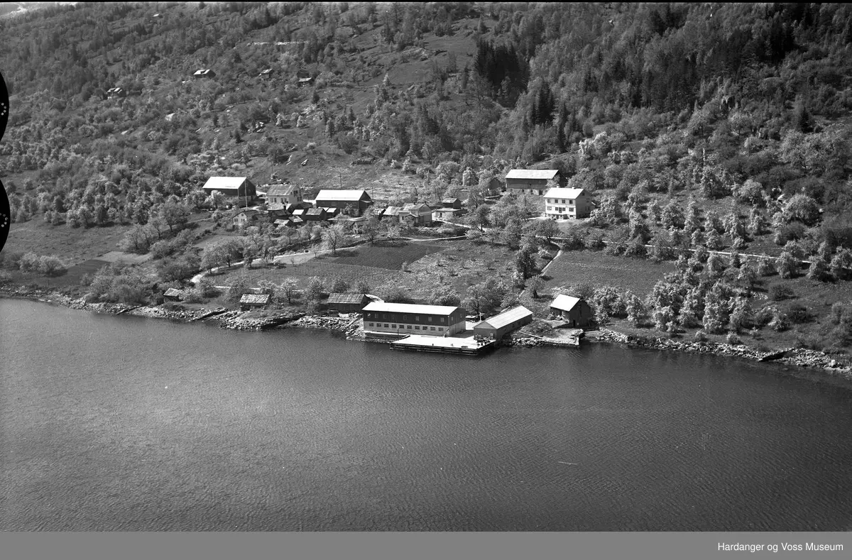 Flyfoto, Jåstad - Hardanger og Voss Museum / DigitaltMuseum