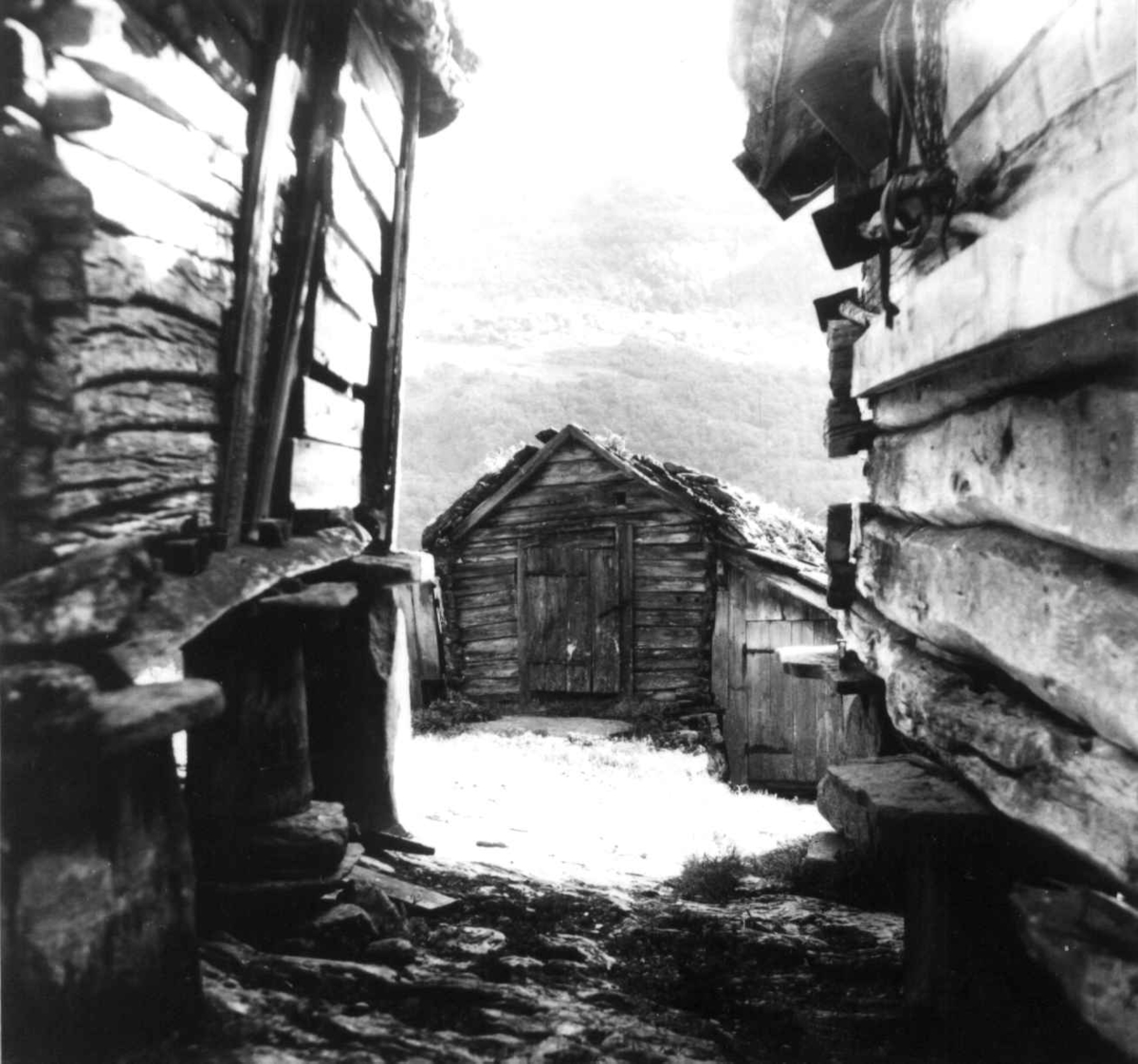 Vidme - Norsk Folkemuseum / DigitaltMuseum