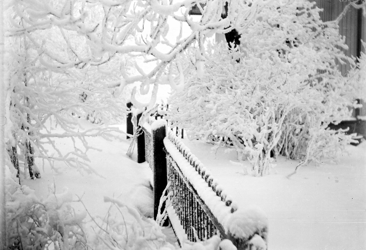 Vinterbilde med hagegjerde med port. Ant. i Hurum (jfr. NF.15386-123 ...