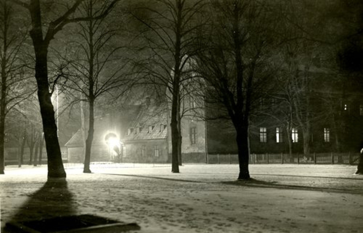 Halmstads slott - Hallands Konstmuseum / DigitaltMuseum