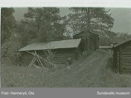 SuM-foto015300 - Sundsvalls museum / DigitaltMuseum