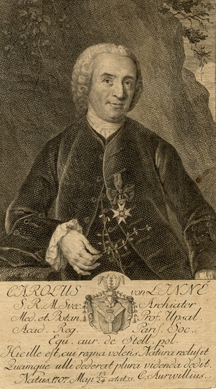 Carolus von Linné S.R.M. Svec Archiater... [Kopparstick] - Kulturparken ...