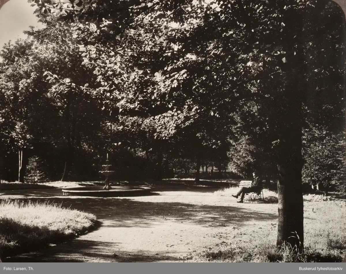 Drammen park. Fotografiet var med i "Frognerutstillingen" i 1914. Den ...