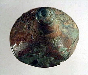 Tutulus - Västergötlands museum / DigitaltMuseum