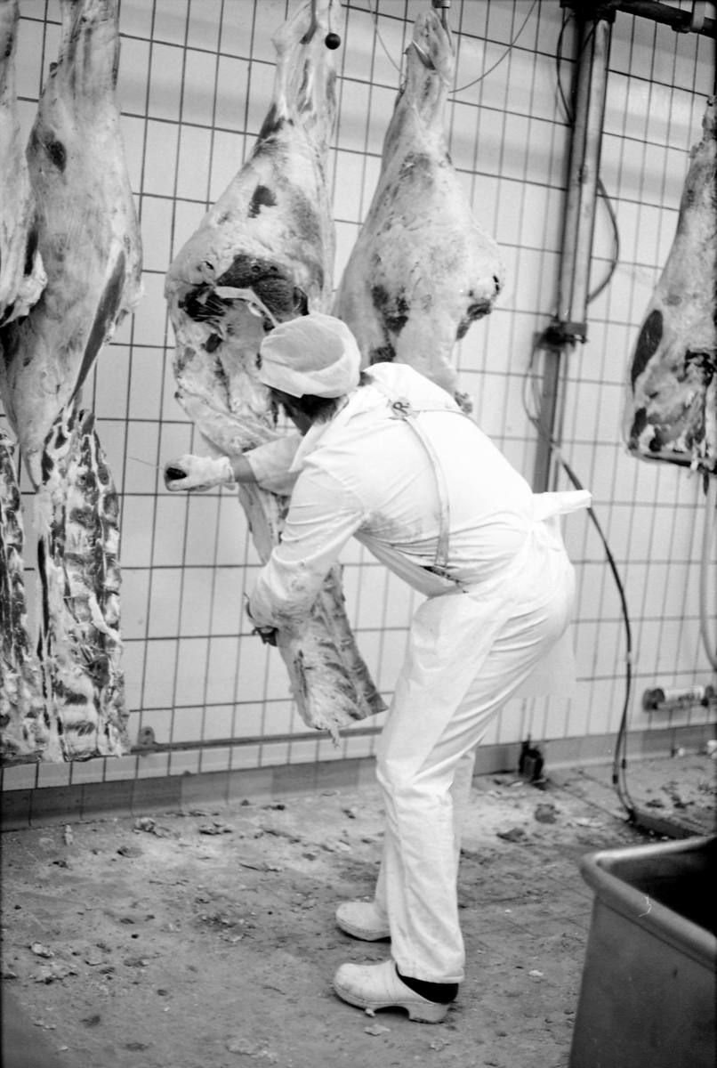 Slakteriarbetare på Scan i Skara - Västergötlands museum / DigitaltMuseum