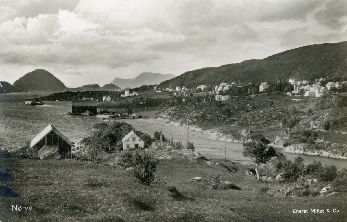 Nørve. - Sunnmøre Museum / DigitaltMuseum