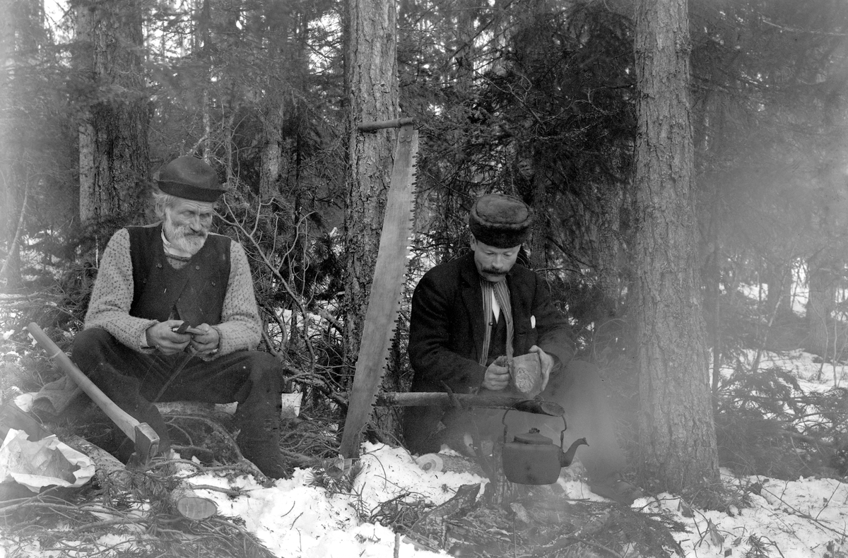 Ringsaker og Nes Almenning, Philske sameie, skogbruk, 2 skogsarbeidere ...